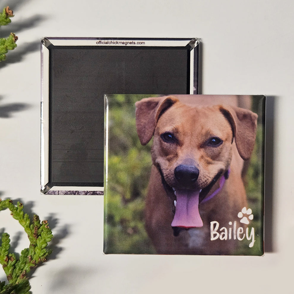 Photo Magnet with Dog Name | Custom Pet Magnet | Chick Magnets